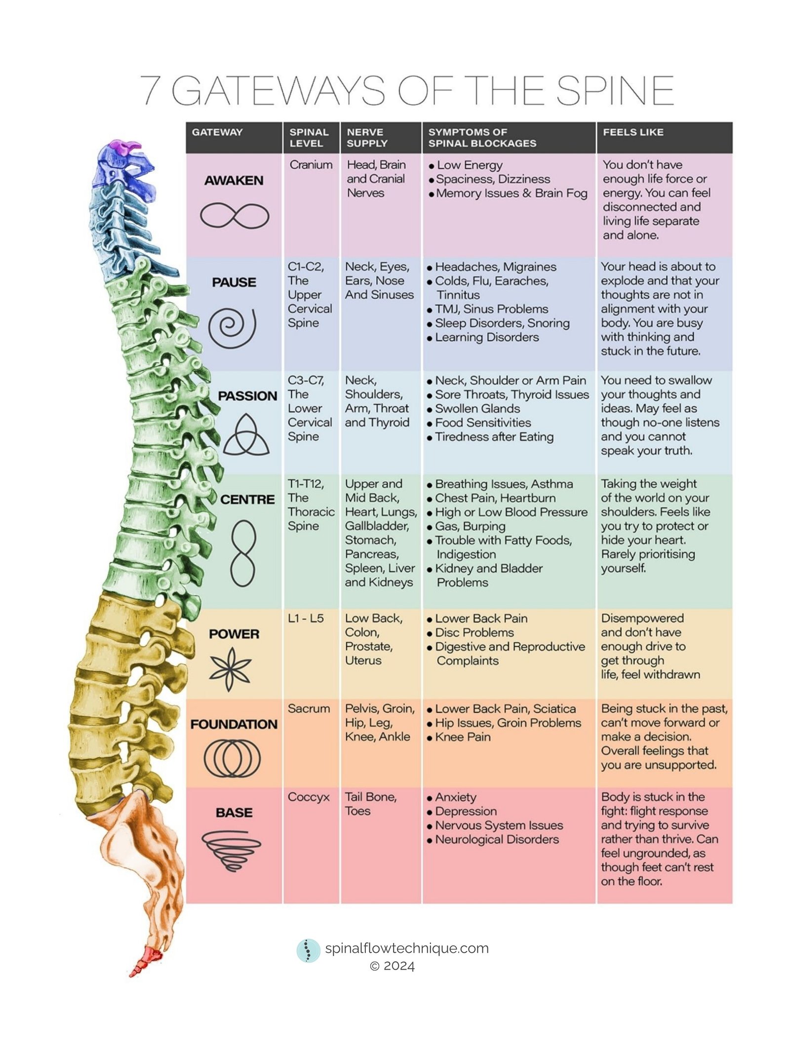 SpinalFlow Vitality